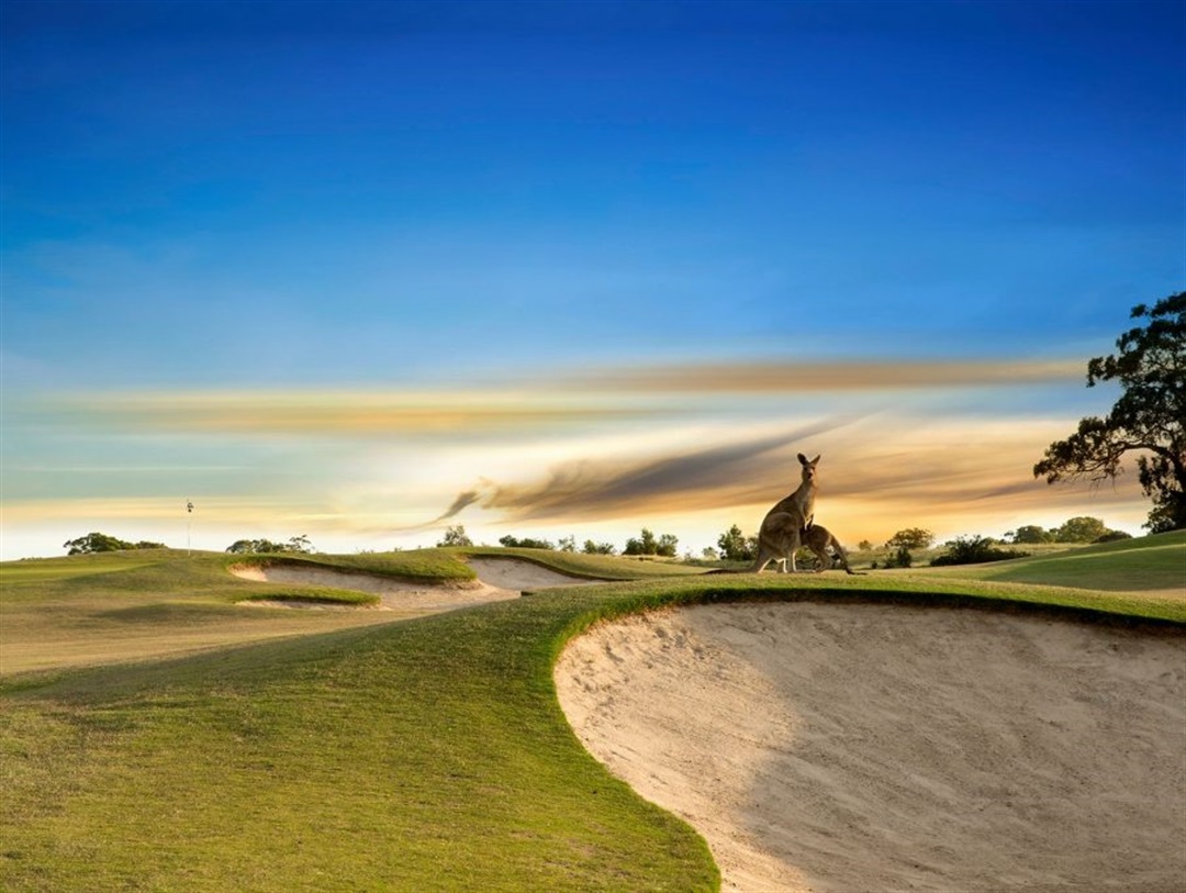 Growling Frog Golf Course and Restaurant | Explore Whittlesea