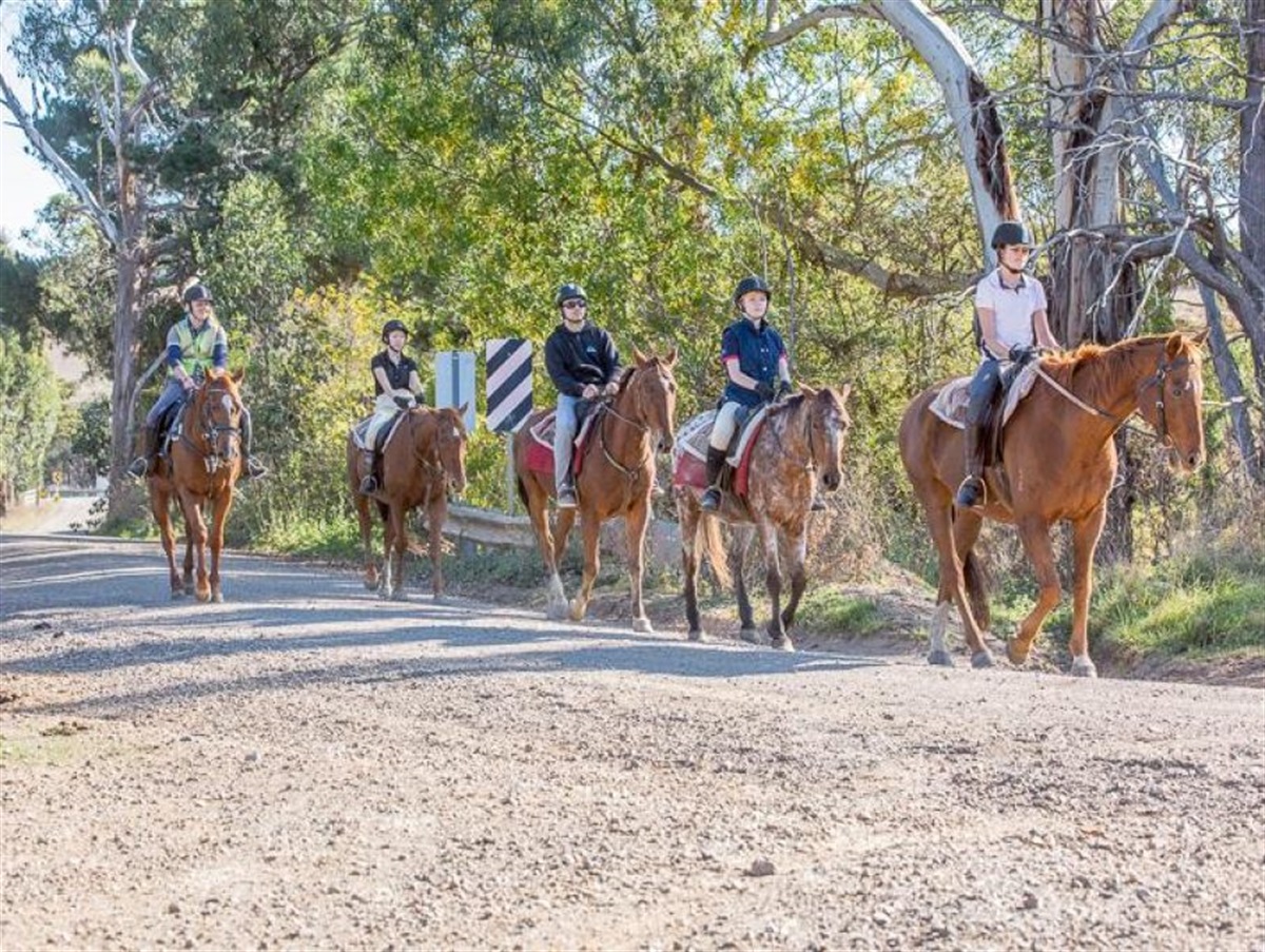Uncle Nev’s horse riding | Explore Whittlesea